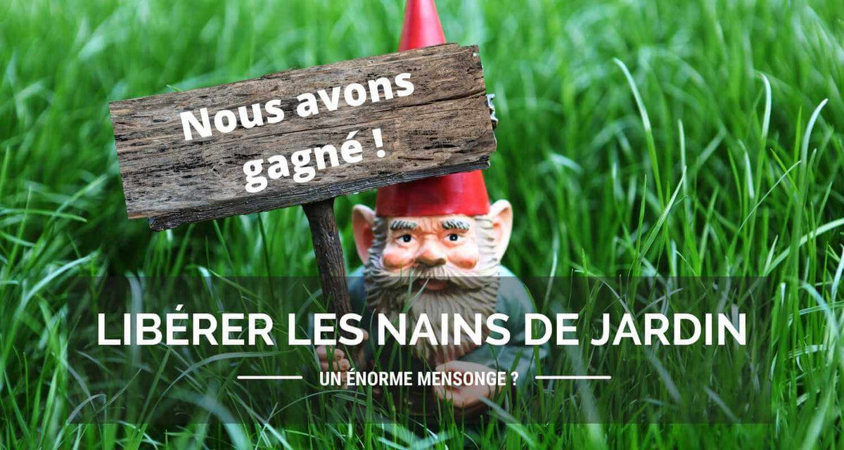Le front de libération des nains de jardin : histoire et origines ...